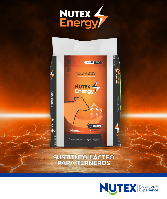 Nutex Energy | Productos | Nutex